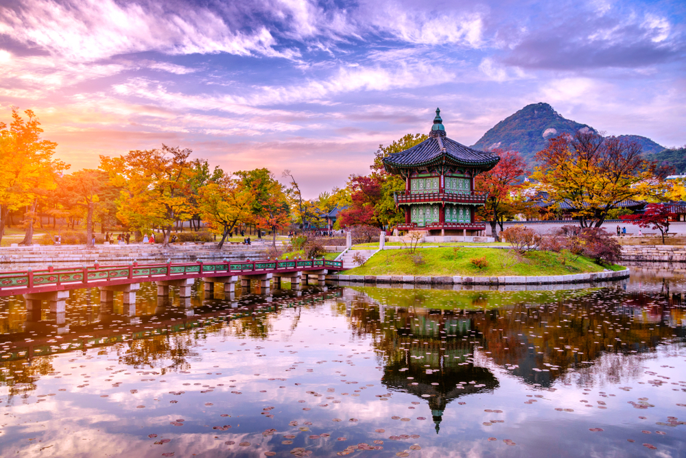 5D4N Jeonju, Boseong, Damyang, Seoul Tour - Package Tour - Sally Tour
